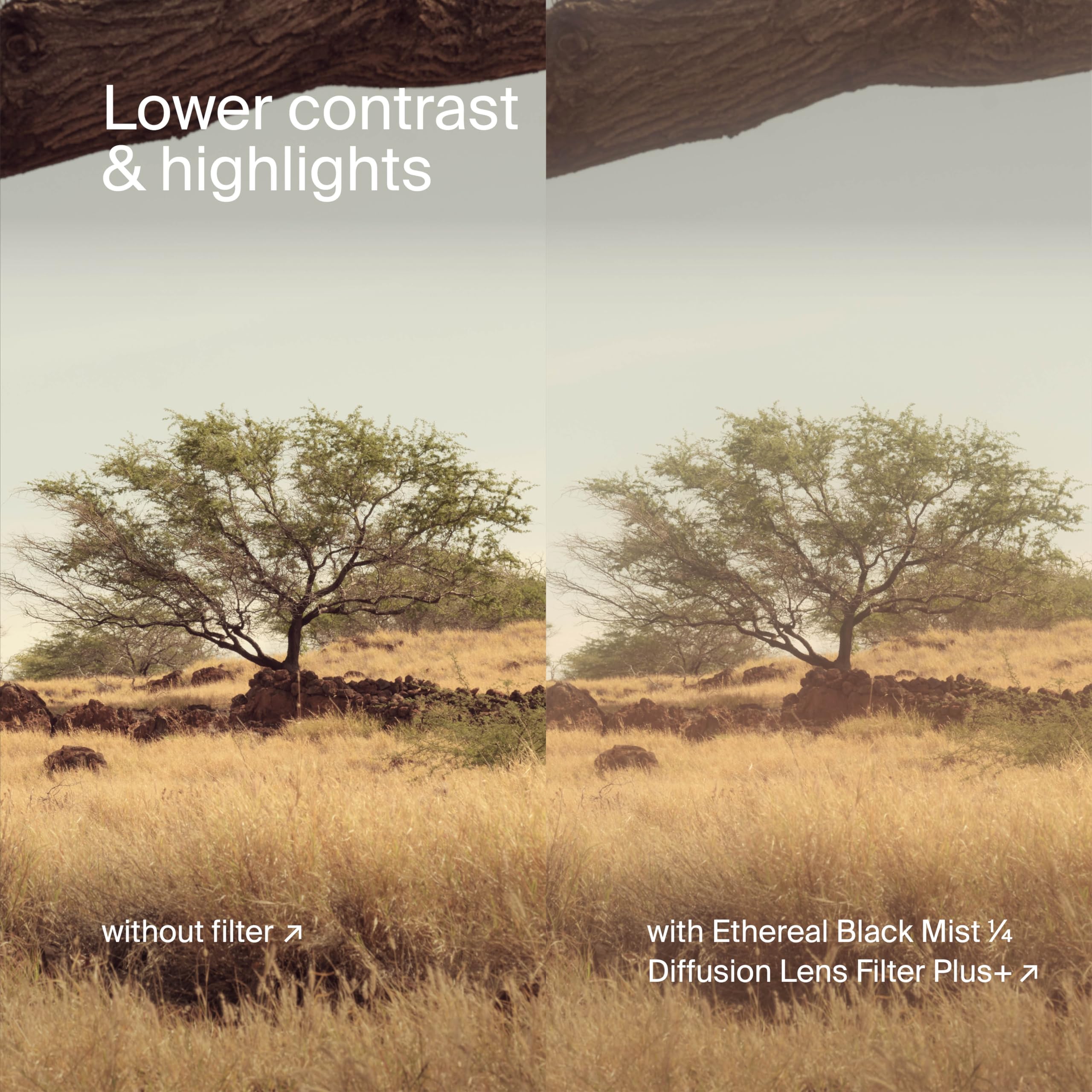 Urth 39mm Ethereal ¼ Diffusion Lens Filter (Plus+) - JB Hi-Fi