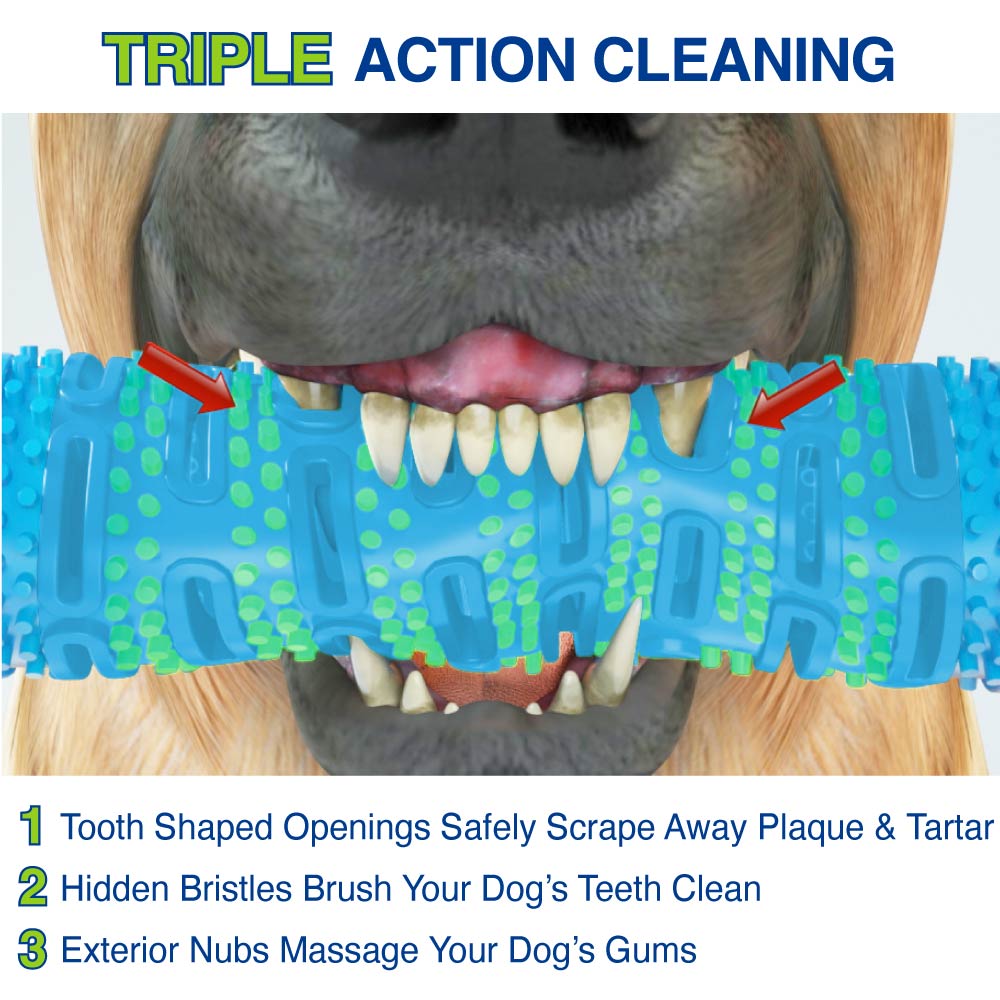 Brush Bone Self-Brushing Toothbrush For Dogs with Treat Dispenser - JB ...
