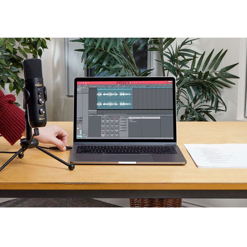 Marantz MPM-4000U Wired USB Professional Podcast Recording Condensor ...