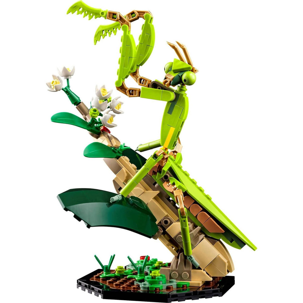 LEGO 21342 The Insect Collection - Ideas - JB Hi-Fi